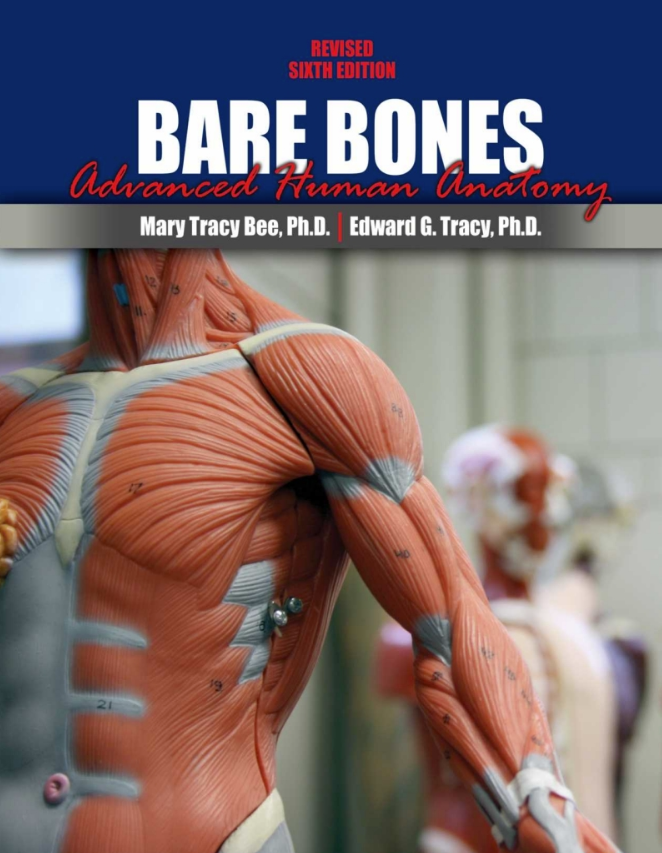 Bare Bones: Advanced Human Anatomy | Higher Education